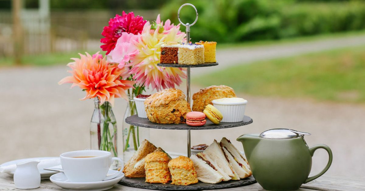 Visit to Canonteign Falls with Afternoon Tea | WonderDays