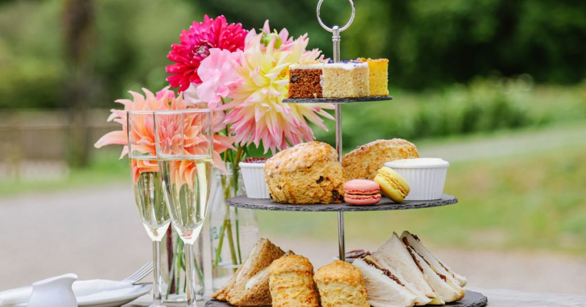 Visit to Canonteign Falls with Prosecco Afternoon Tea | WonderDays