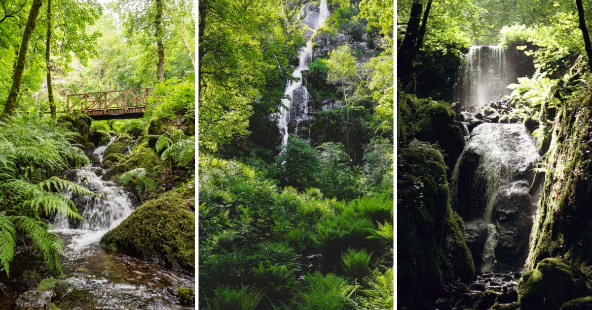 Visit to Canonteign Falls | WonderDays