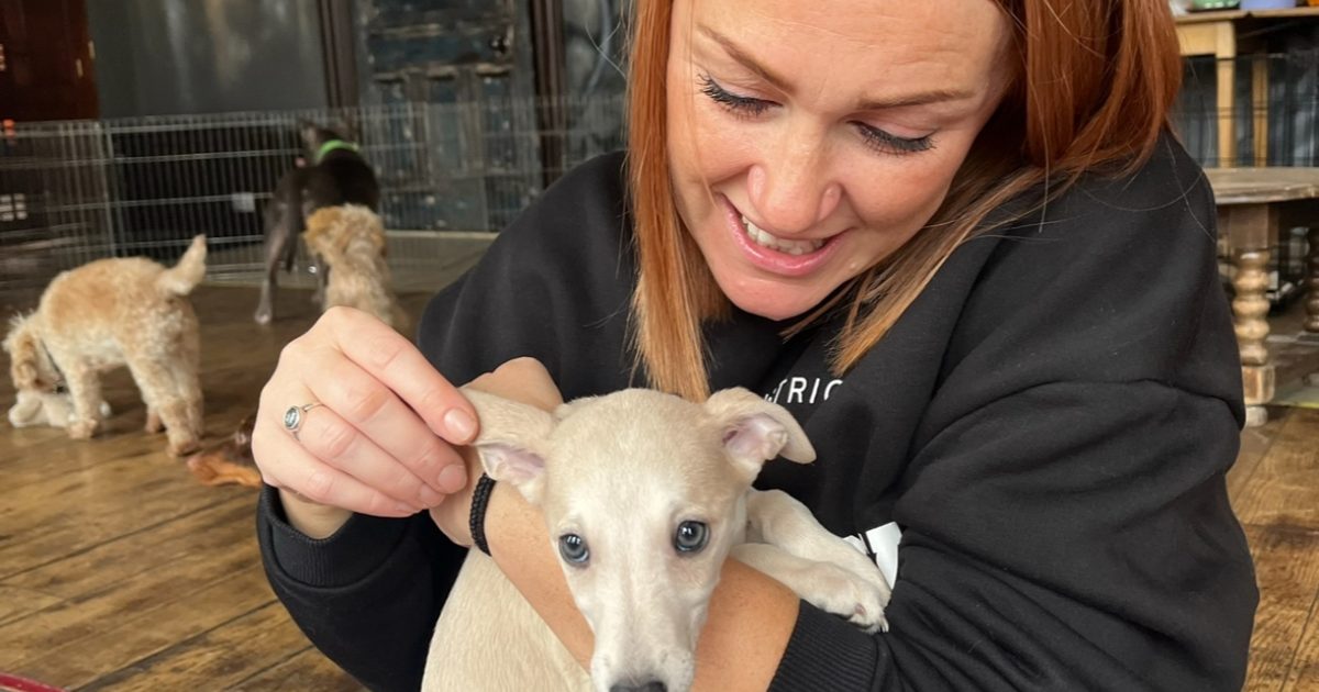 Pooch Therapy Cuddles & Play Experience | WonderDays