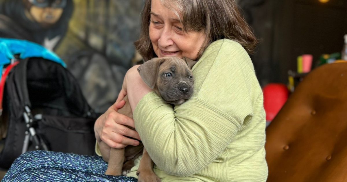 Why Animal Cuddling Therapy Is Becoming the UK’s Fastest… | WonderDays
