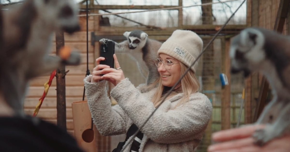 The News | WonderDays