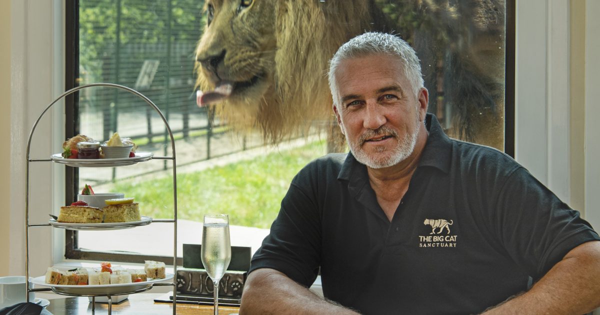 Paul Hollywood Afternoon Tea | WonderDays