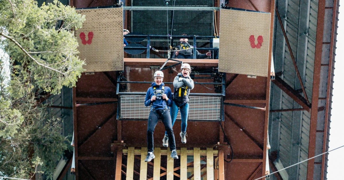 Zip World Plummet | WonderDays