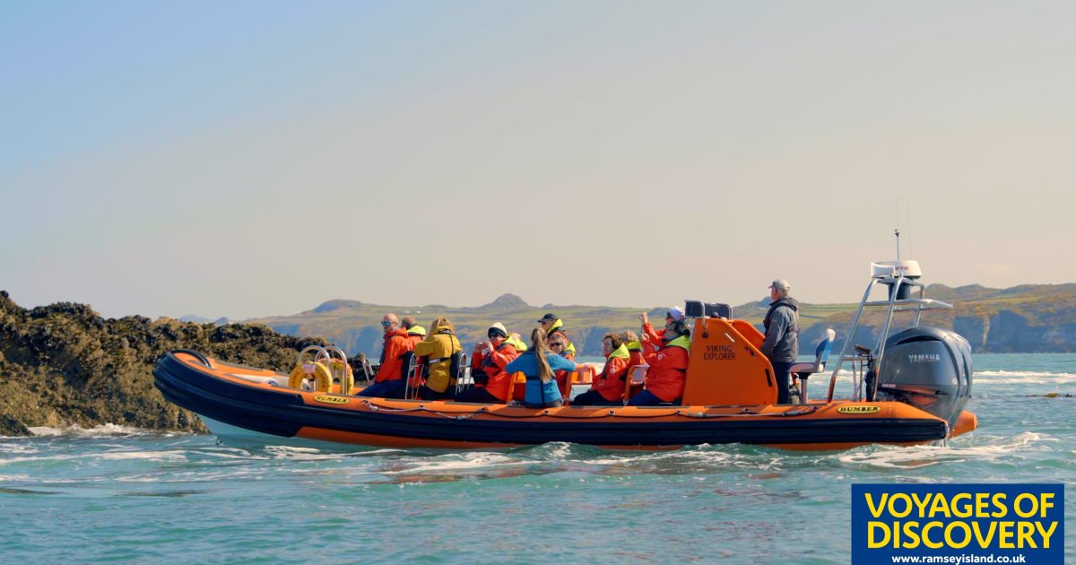 Ramsey Island Pembrokeshire - 1 Hour Boat Trip | WonderDays