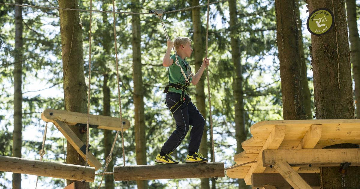 Zip World Tree Hoppers | WonderDays