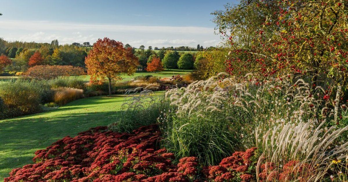 RHS Garden Hyde Hall Visit For Two | WonderDays