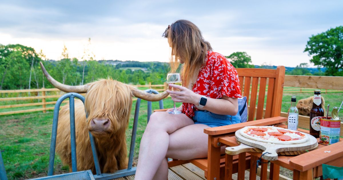 Highland Cows, Cuddles and Countryside Escapes in Leeds! | WonderDays