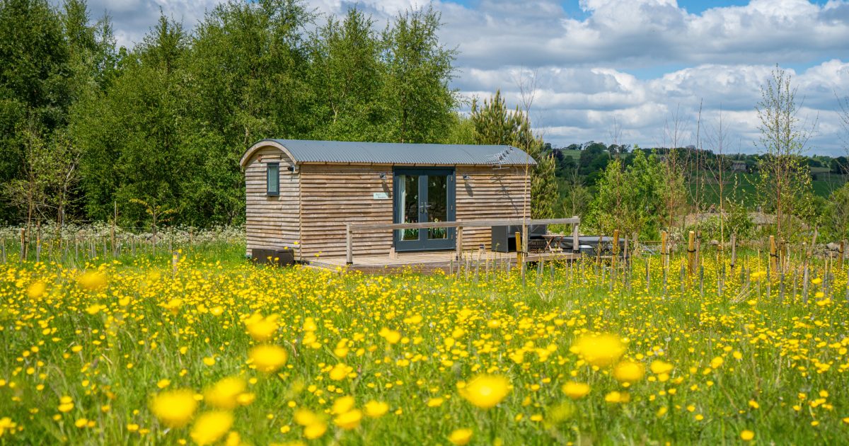 Two Night Stay in Shepherd Hut With Hot Tub and Highland… | WonderDays
