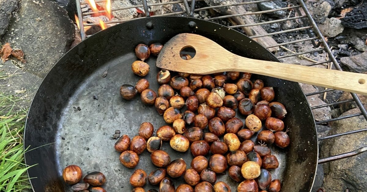 Forage And Feast Experience In The Lake District | WonderDays