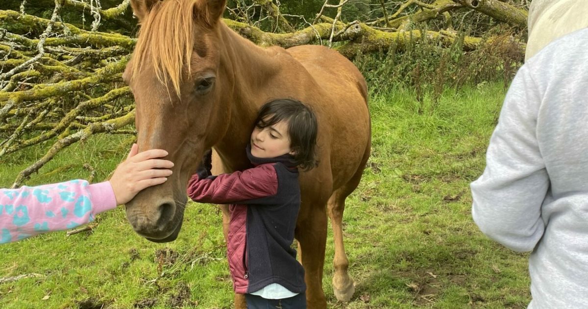 7 Fire filled activities in preparation for the Chinese… | WonderDays