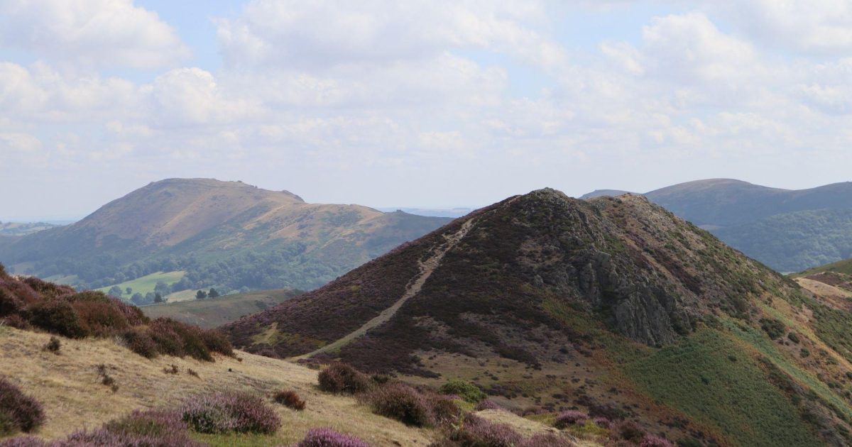 Experience Day Gifts For Locations in Midlands | WonderDays