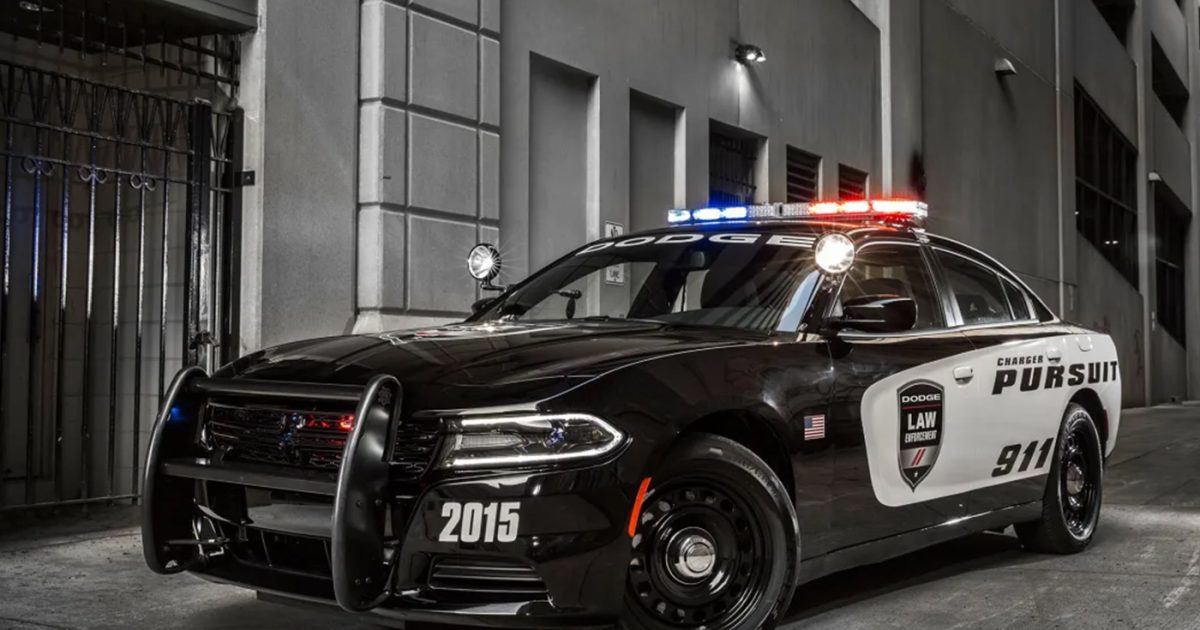 Cops & Robbers Driving Experience | WonderDays